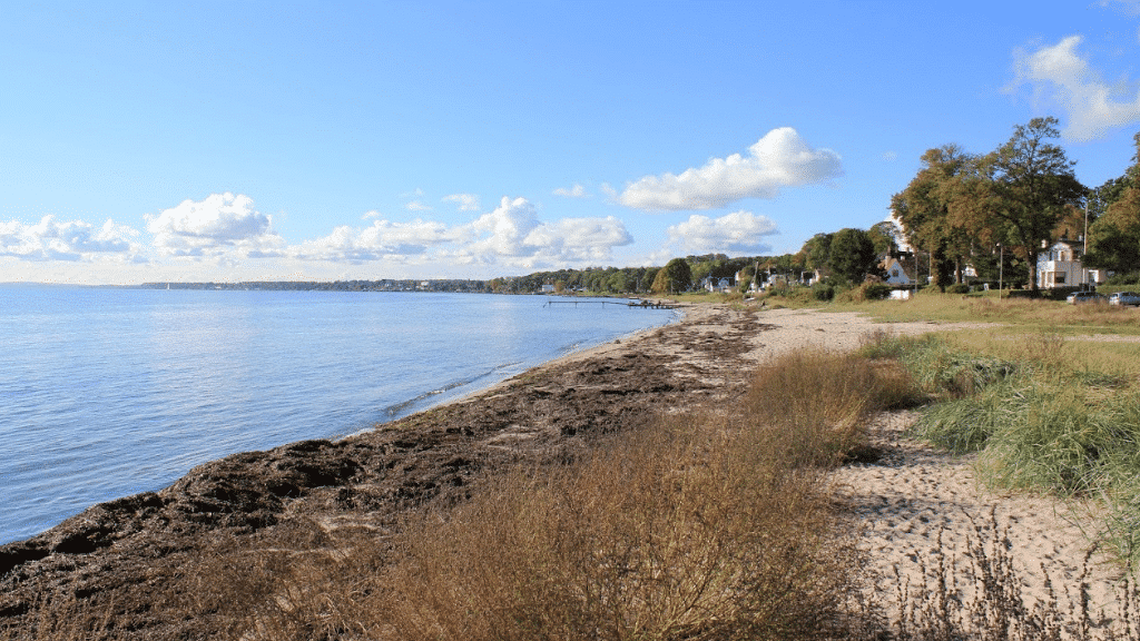 Oplev området | Kronborg Cup